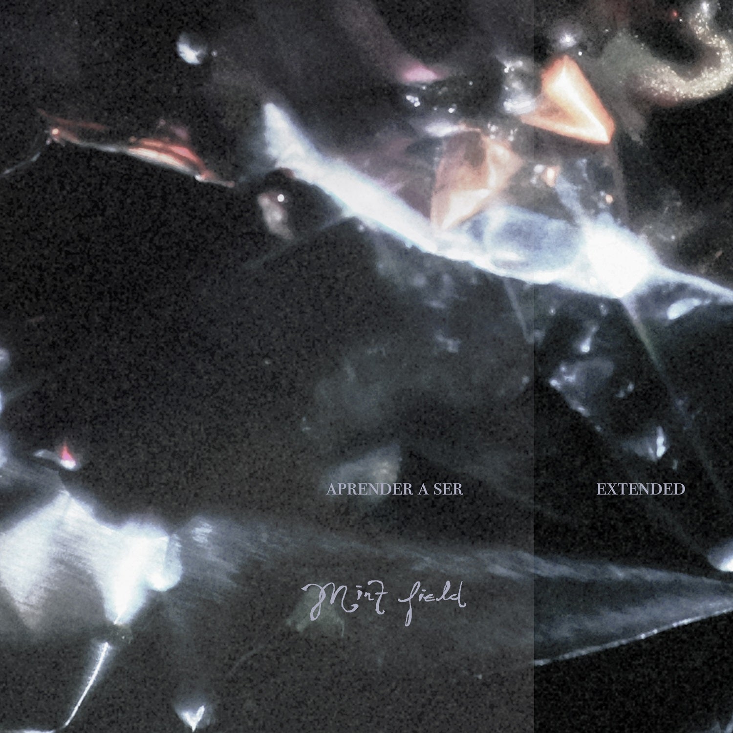 MINT FIELD - Aprender a Ser: Extended - LP - Milky Clear Vinyl [AUG 30 – Spindizzy