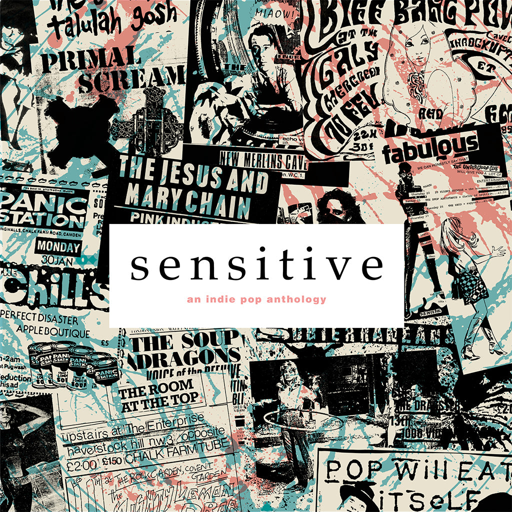 VARIOUS - Sensitive: An Indie Pop Anthology - 2CD [FEB 28] – Spindizzy