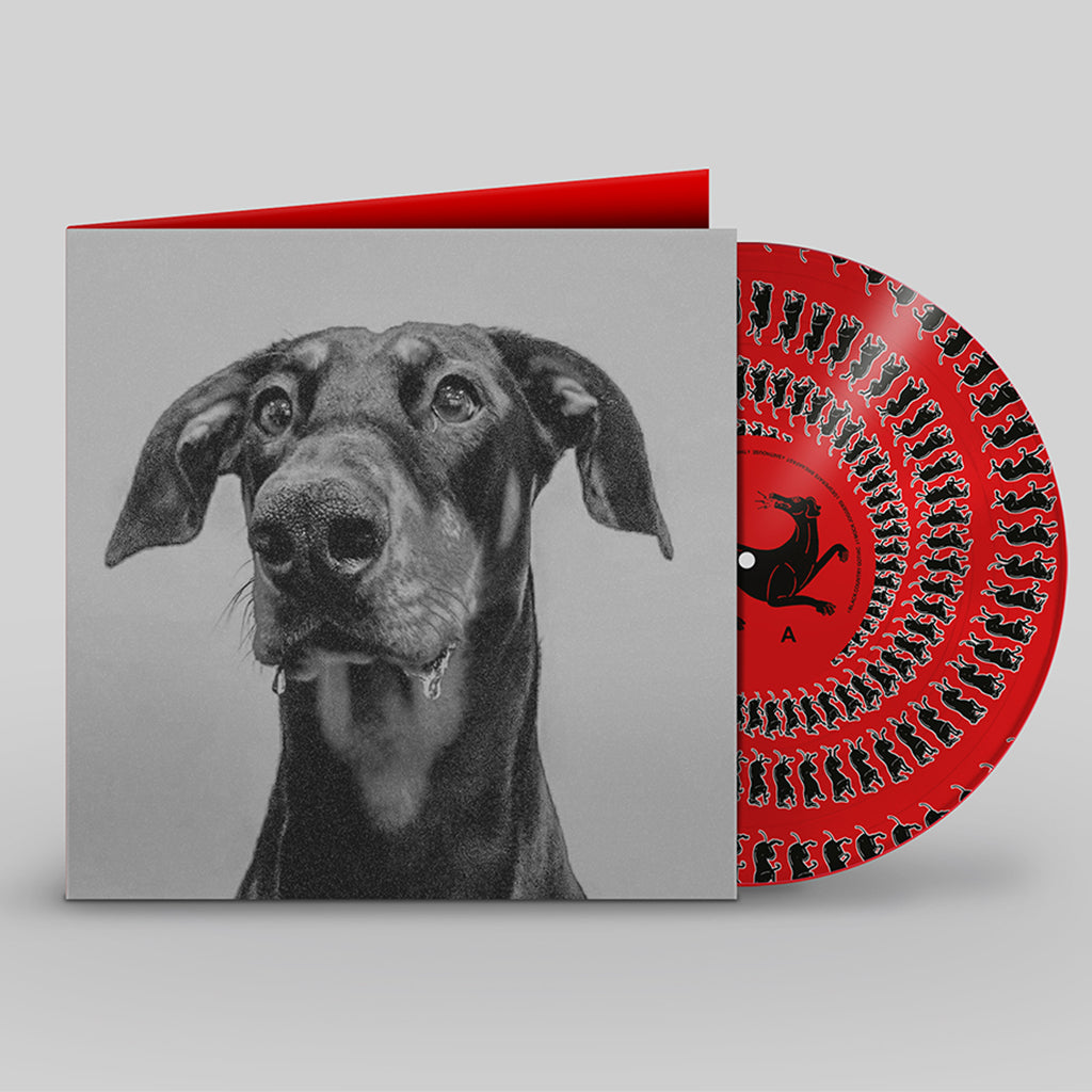 BIG SPECIAL - POSTINDUSTRIAL HOMETOWN BLUES (Repress) - LP - Zoetrope ...