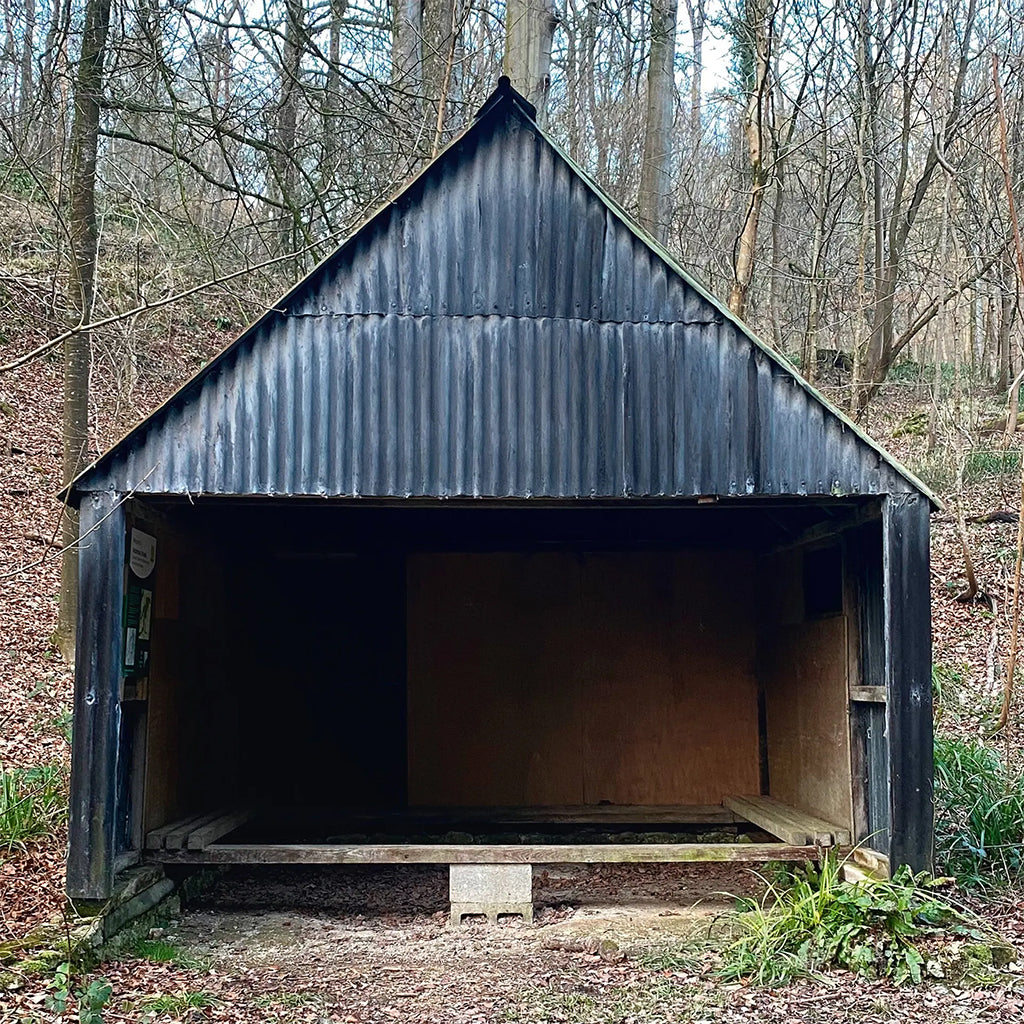 BLANCMANGE - Waiting Room (Volume 2) - CD – Spindizzy