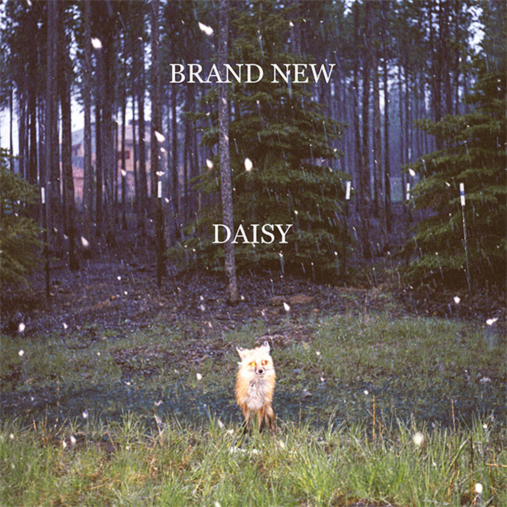 BRAND NEW - Daisy (Reissue) - LP - 180g Vinyl [FEB 28] – Spindizzy