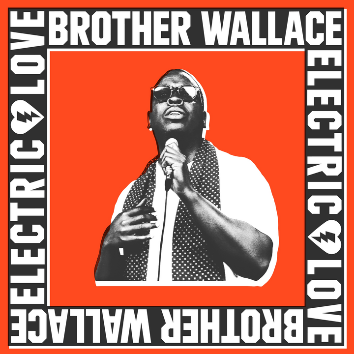 BROTHER WALLACE - Electric Love - LP - Gatefold Vinyl – Spindizzy Dublin