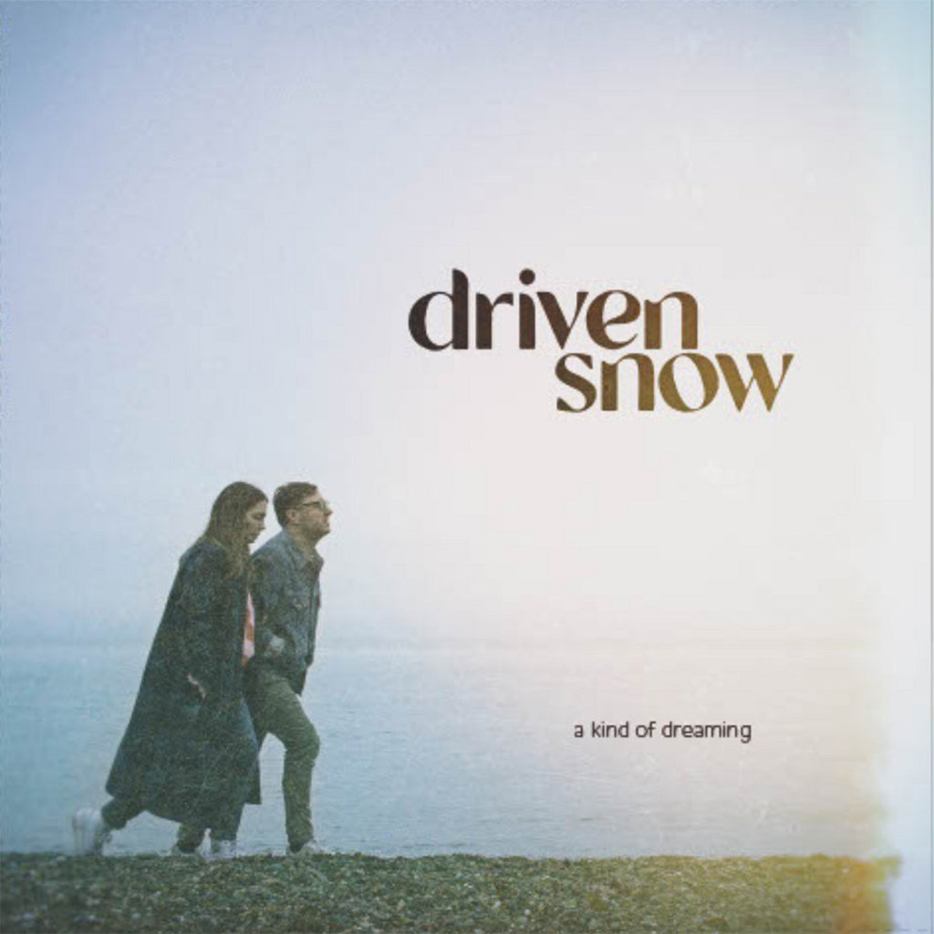 DRIVEN SNOW - A Kind Of Dreaming (SIGNED inner) - LP - 180g Sea Blue V ...
