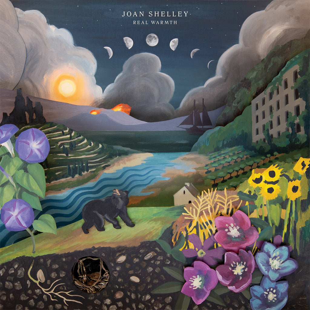 JOAN SHELLEY - Real Warmth - LP - Vinyl – Spindizzy Dublin