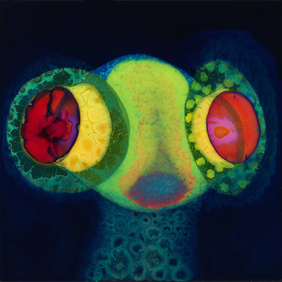 OSEES - SORCS 80 - CD – Spindizzy