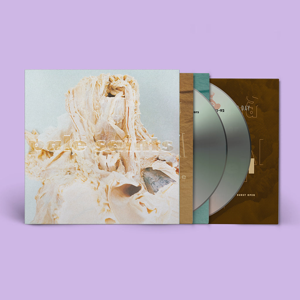 PALE SAINTS - In Ribbons (Expanded 30th Anniversary Reissue) - 2CD ...
