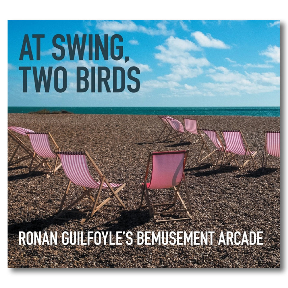 RONAN GUILFOYLE’S BEMUSEMENT ARCADE - At Swing, Two Birds – Spindizzy ...