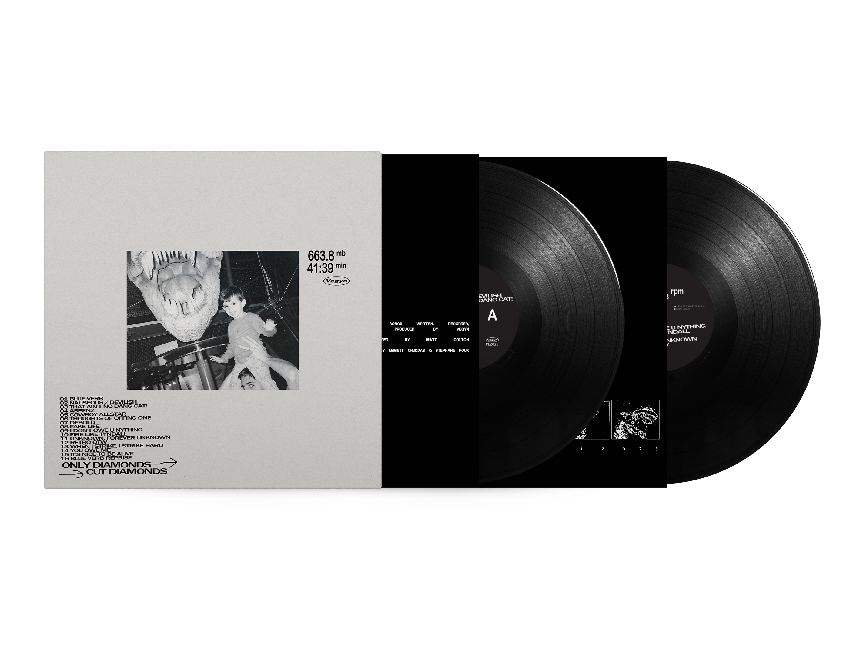 VEGYN - Only Diamonds Cut Diamonds (Repress) - 2LP - 180g Black Vinyl ...
