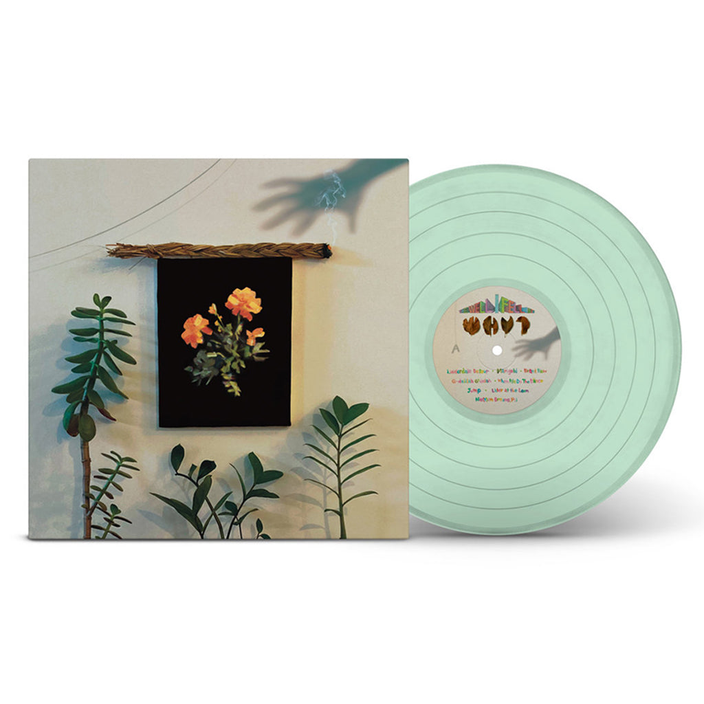 WHY - The Well I Fell Into - LP - 'Her Shadow' Colour Vinyl – Spindizzy