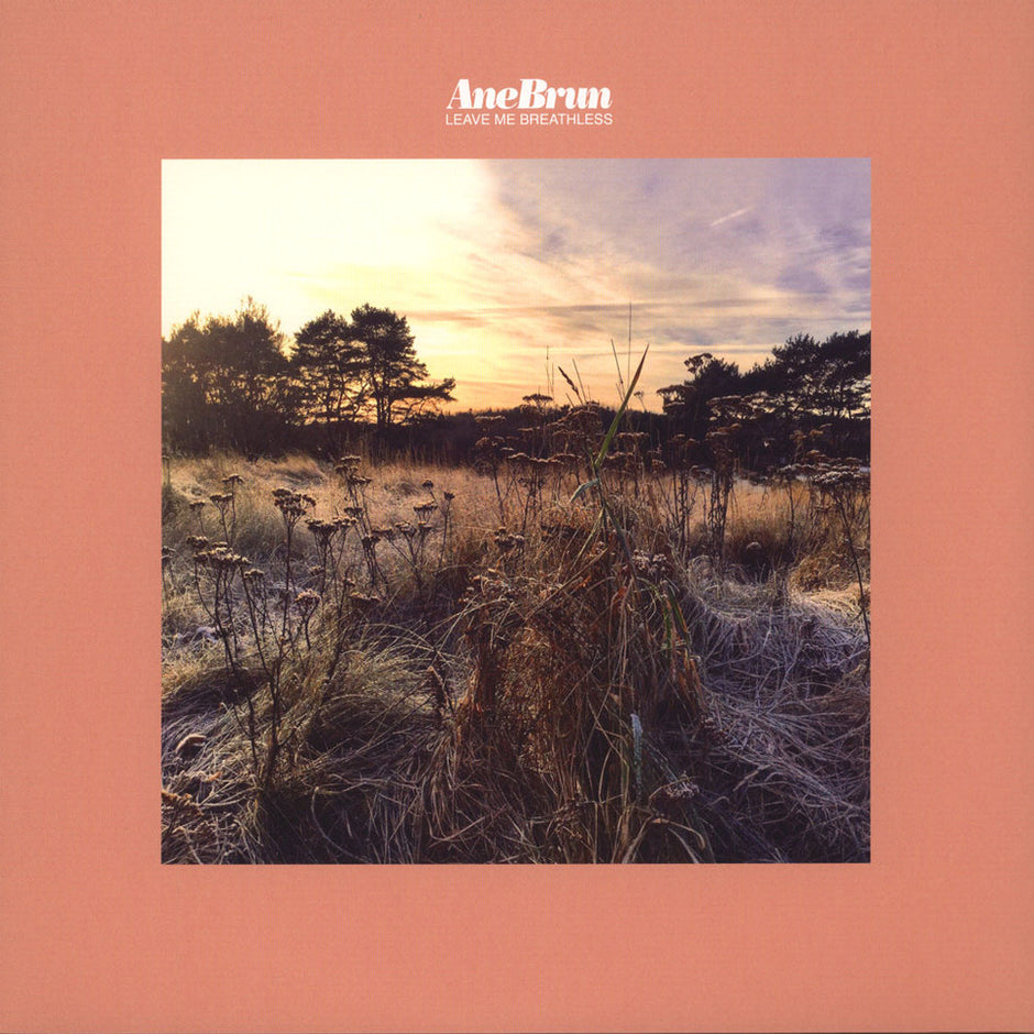 Folk – Tagged "DANCE / ELECTRONIC" – Spindizzy