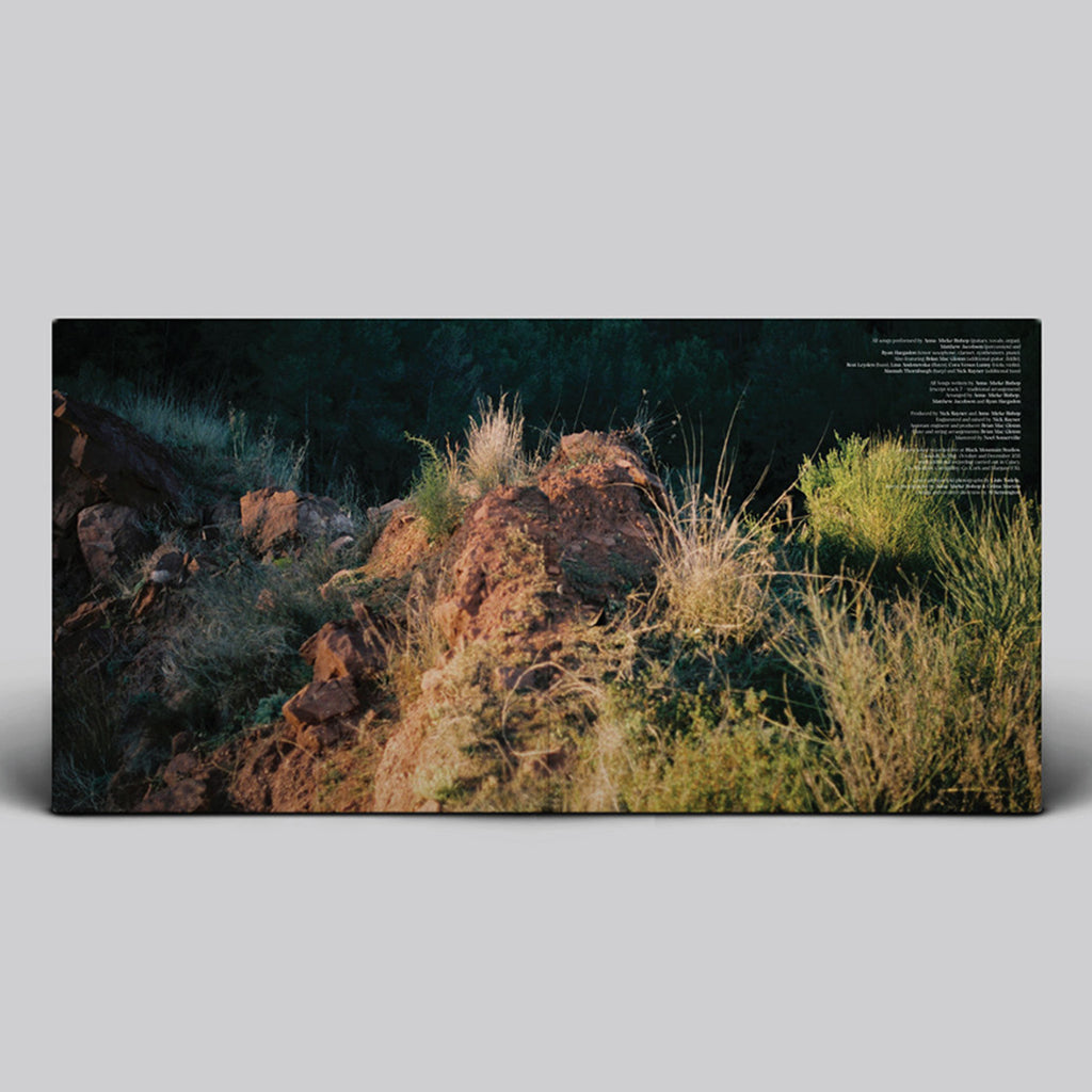 ANNA MIEKE - Theatre - LP - Gatefold Vinyl – Spindizzy