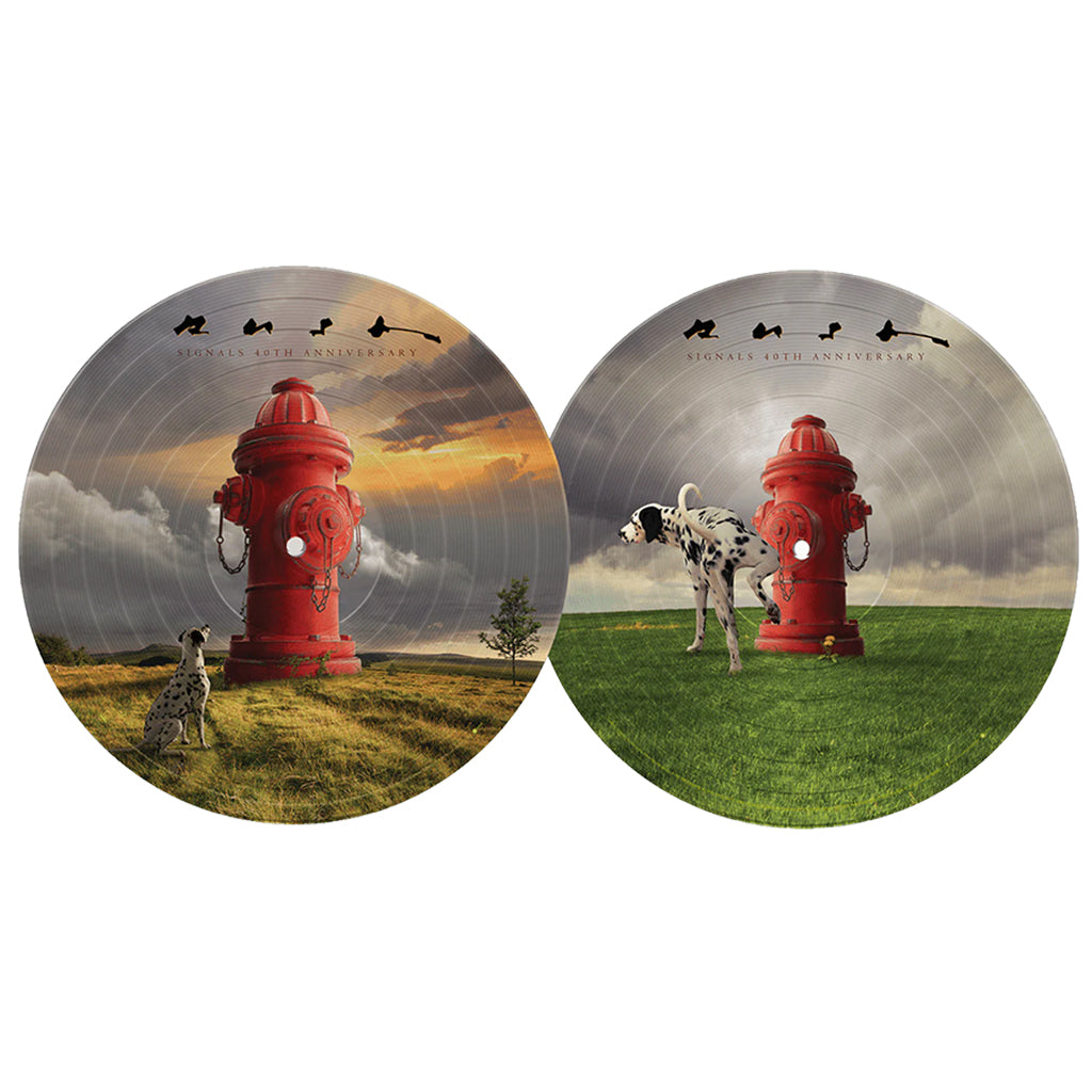 RUSH - Signals - 40th Anniversary Edition - LP - Picture Disc Vinyl [A ...
