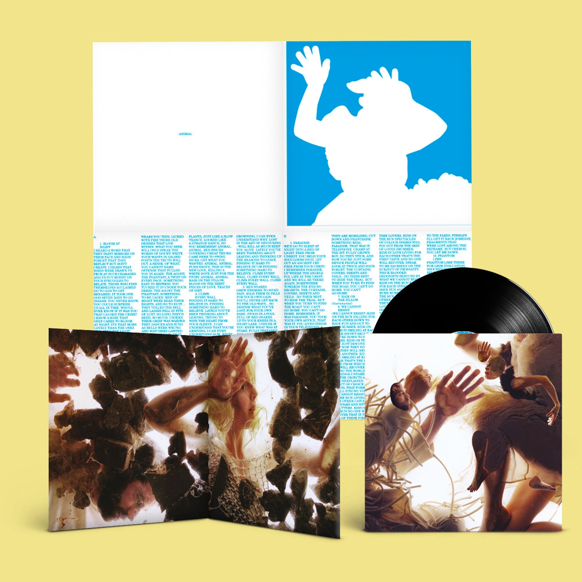 LUMP - Animal [Deluxe Edition] - LP - 180g Vinyl – Spindizzy